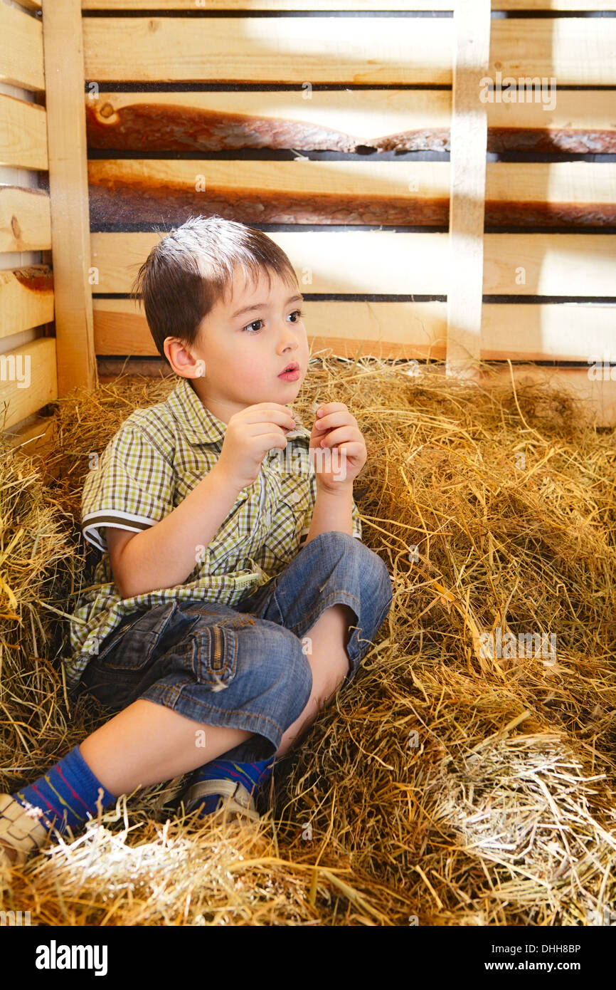 The hayloft hi-res stock photography and images - Alamy