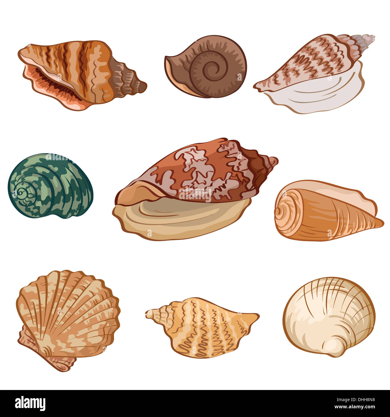 Cartoon seashells hi-res stock photography and images - Alamy