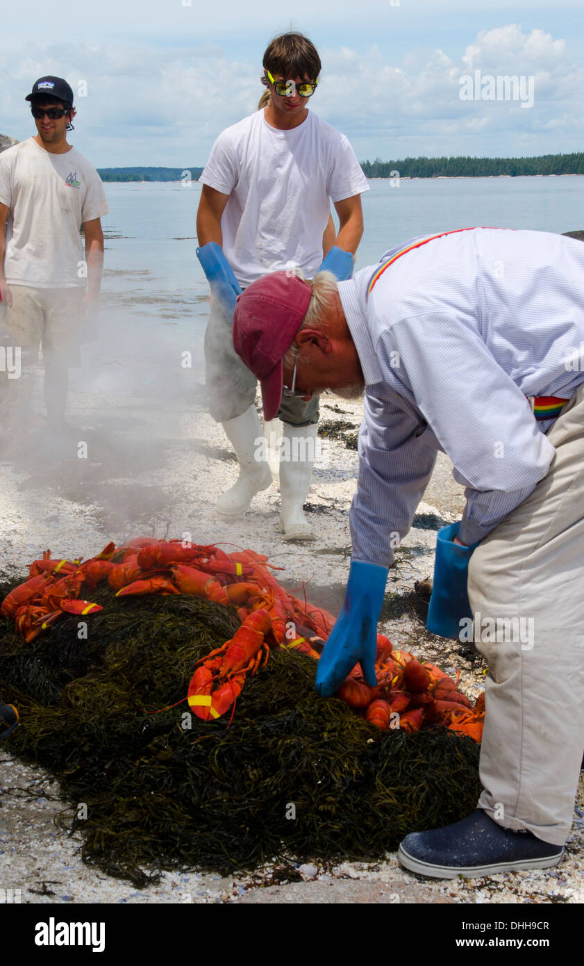 Schooner Heritage Windjammer Sailboat from Rockland Maine shore lobster ...