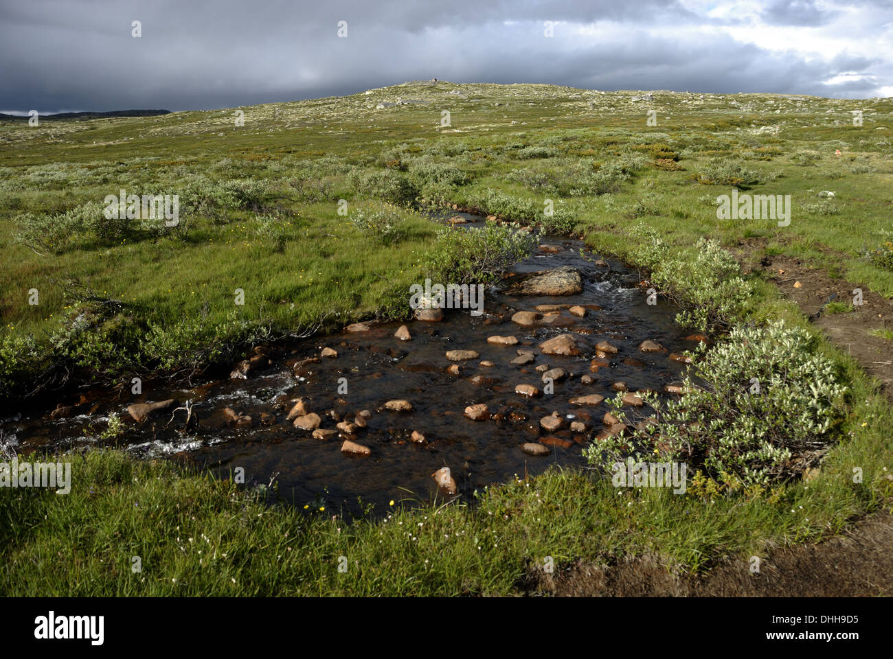 Marbu hi-res stock photography and images - Alamy