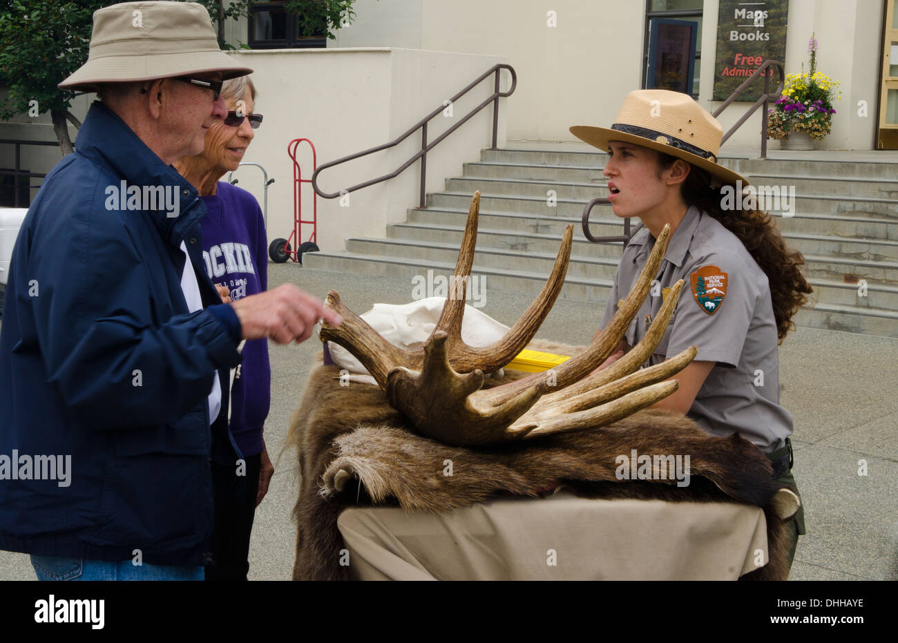 Anchorage Alaska moose, antler with Forest Ranger showing tourists in ...