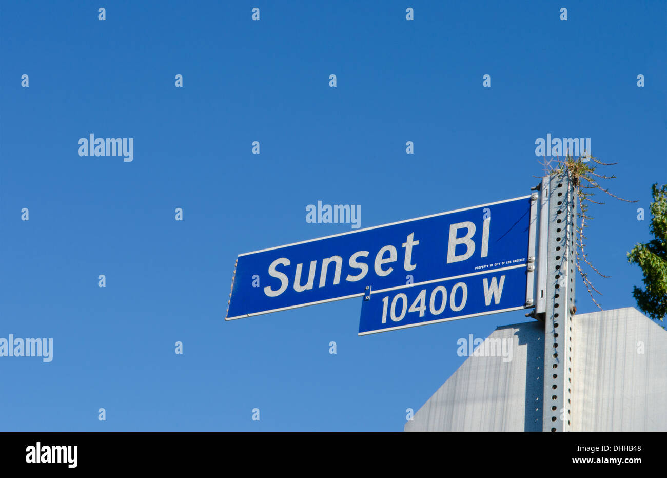 Hollywood Beverly Hills California CA famous Sunset Blvd street sign ...