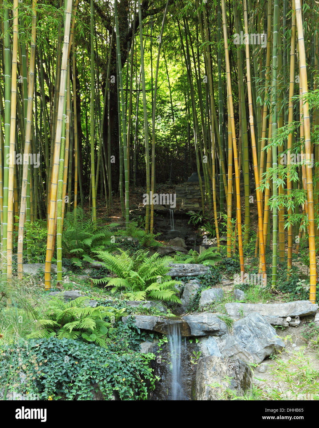 Bamboo falls hi-res stock photography and images - Alamy