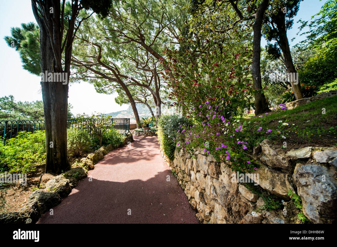 Green trees in monaco hi-res stock photography and images - Alamy