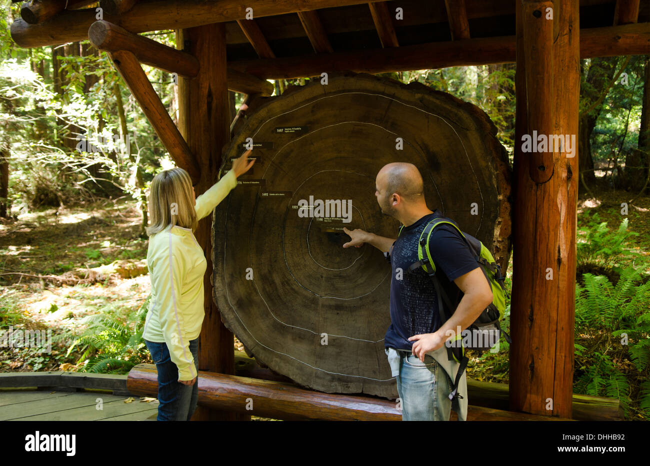 Redwood tree rings hi-res stock photography and images - Alamy