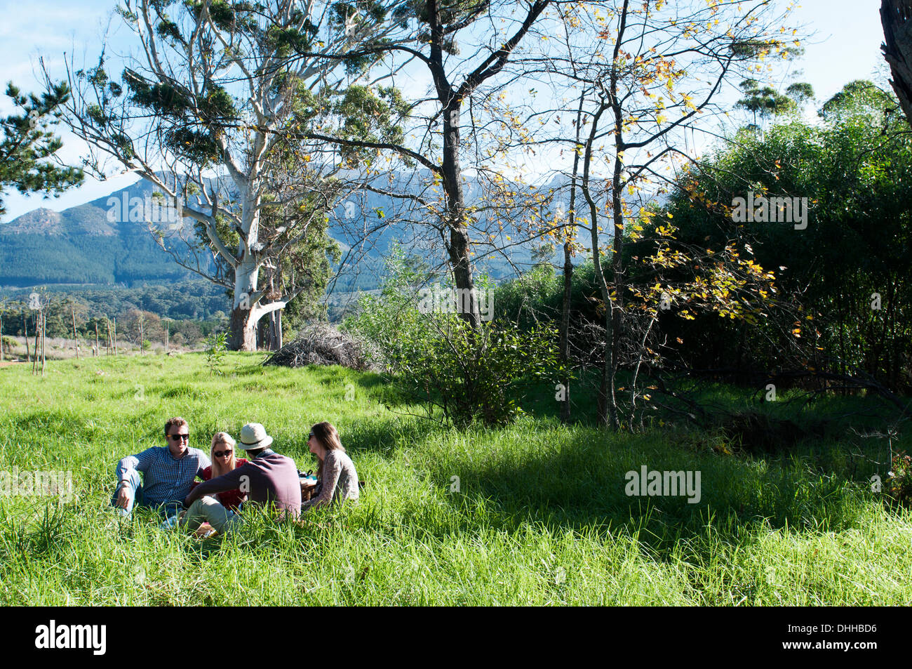 Group picnic sitting hi-res stock photography and images - Alamy