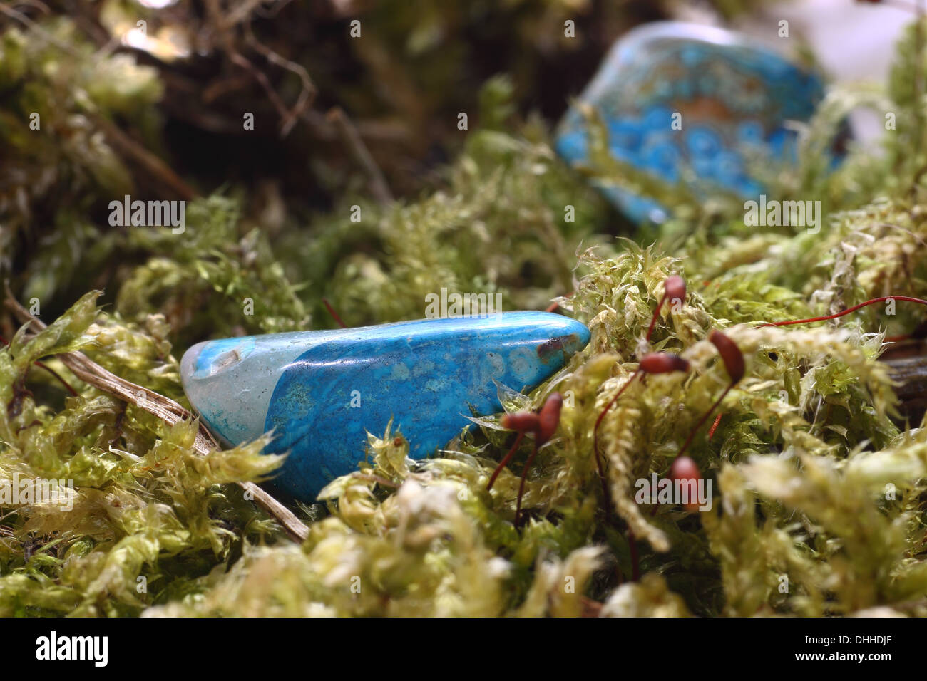Turquoise and moss Stock Photo - Alamy