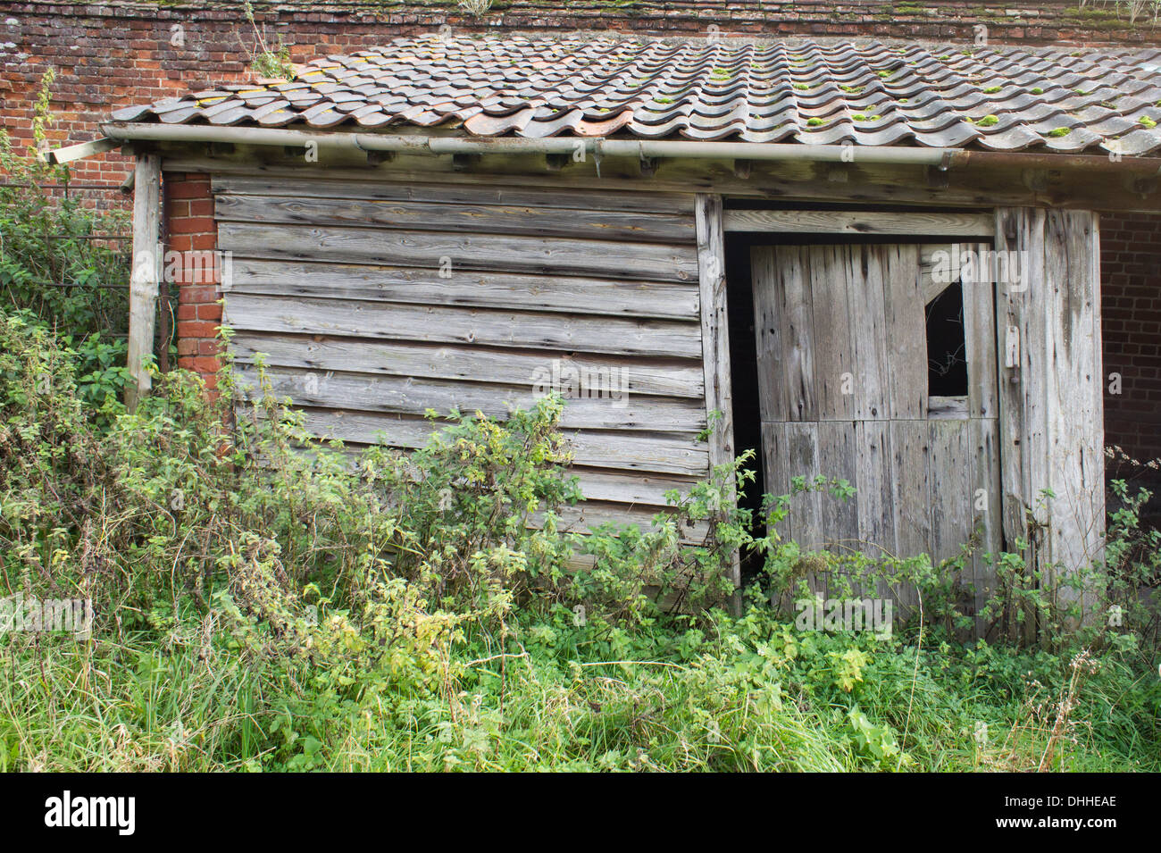 Overgrown garden hi-res stock photography and images - Alamy