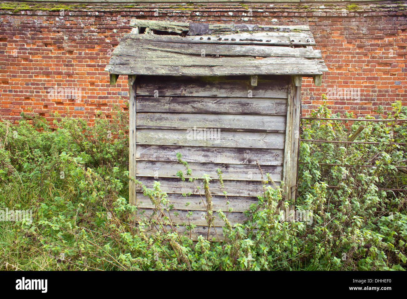 Old wooden hut in an overgrown garden Stock Photo - Alamy