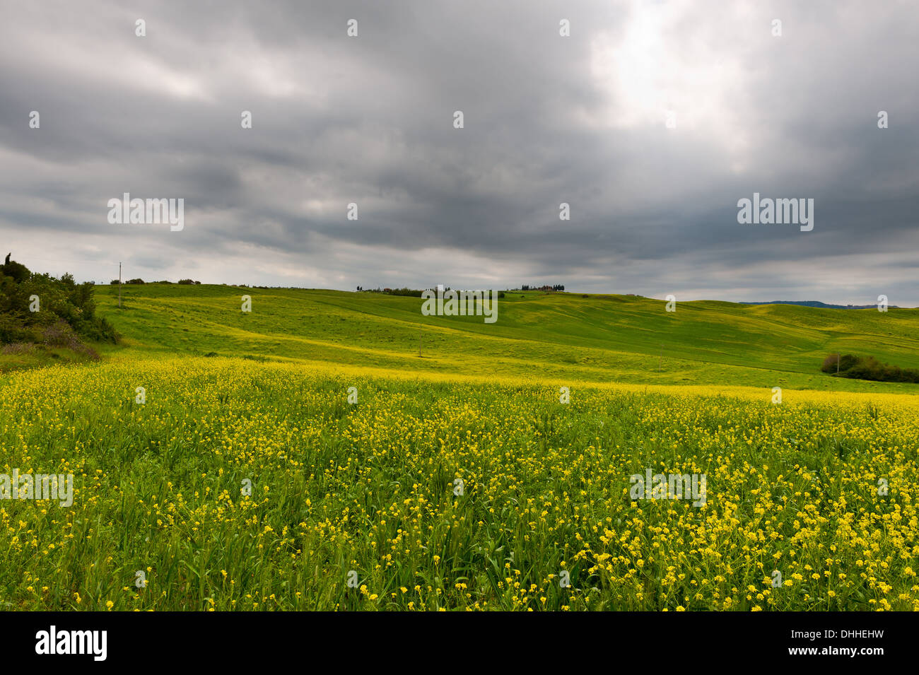 Gray sky hi-res stock photography and images - Alamy