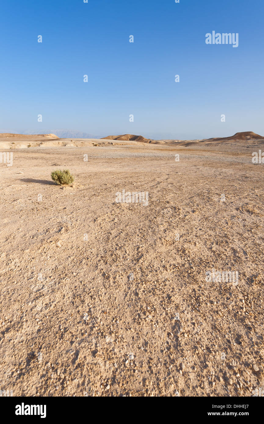 Arid sandy landscape hi-res stock photography and images - Alamy