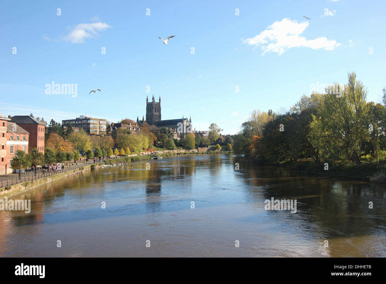 Worcester Cathedral and the River Severn viewed from Worcester Bridge ...
