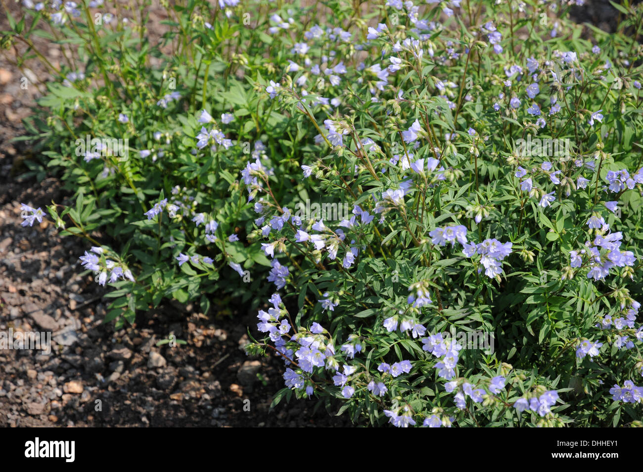 Jakobs Ladder High Resolution Stock Photography and Images - Alamy