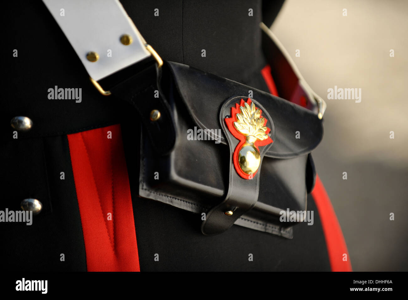 Italian guard of honor military uniform detail Stock Photo - Alamy