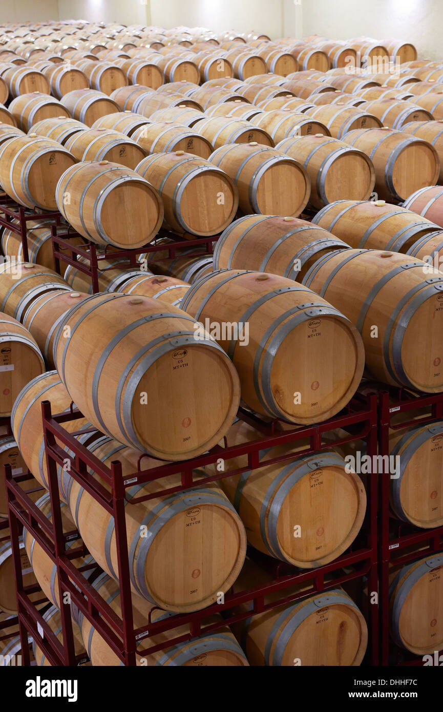 Maturation hi-res stock photography and images - Alamy