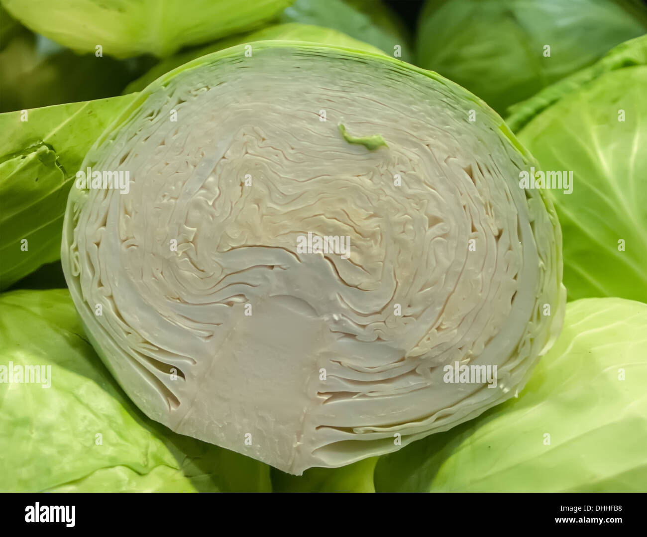 cabbage on display at farmers market Stock Photo - Alamy