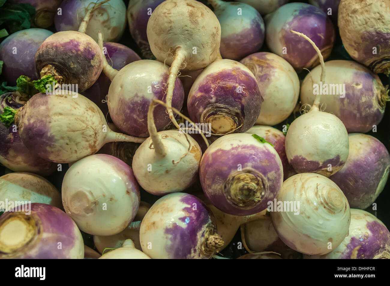 turnip on display at farmers market Stock Photo - Alamy