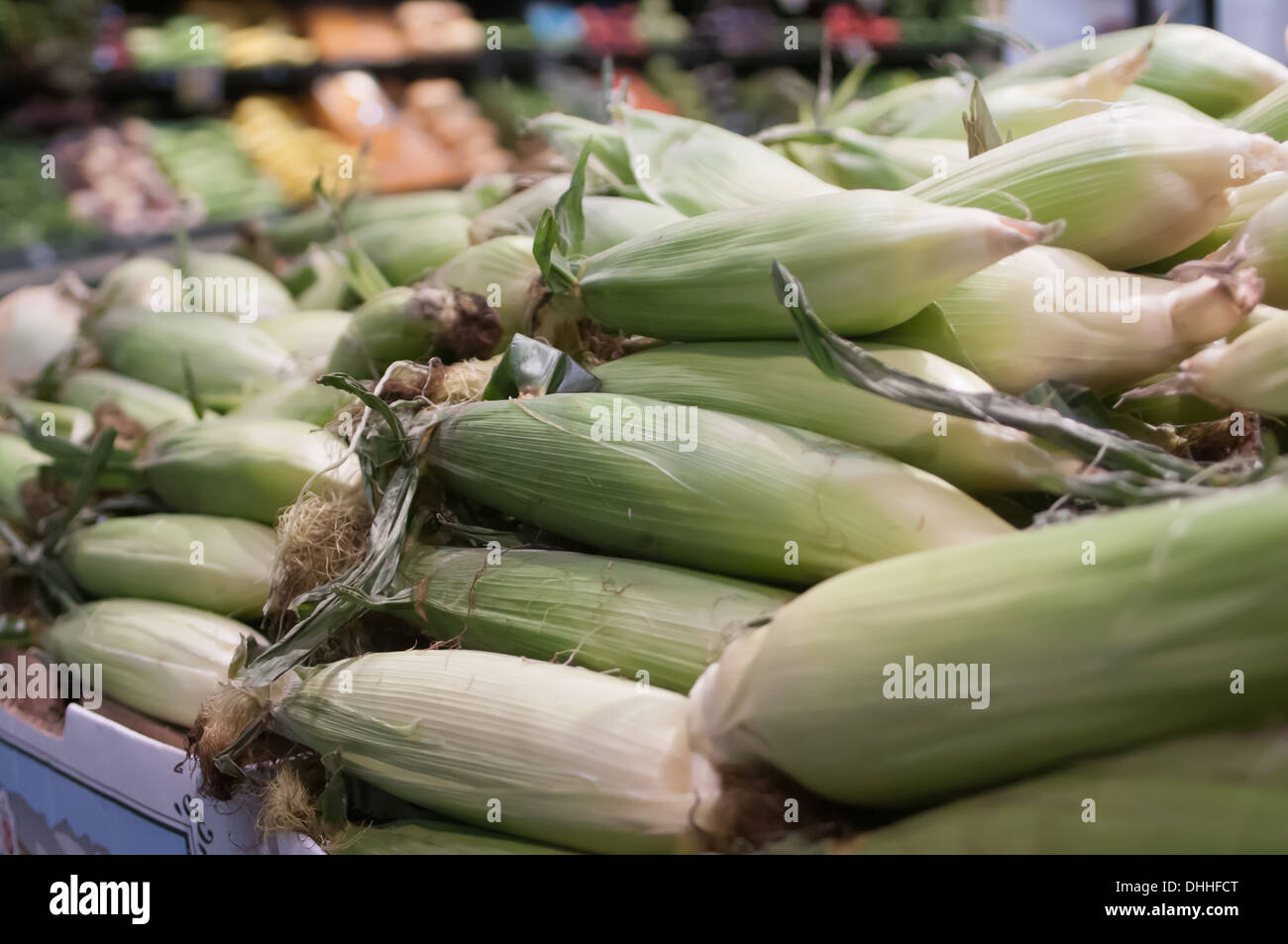 corn on display at farmers market Stock Photo - Alamy