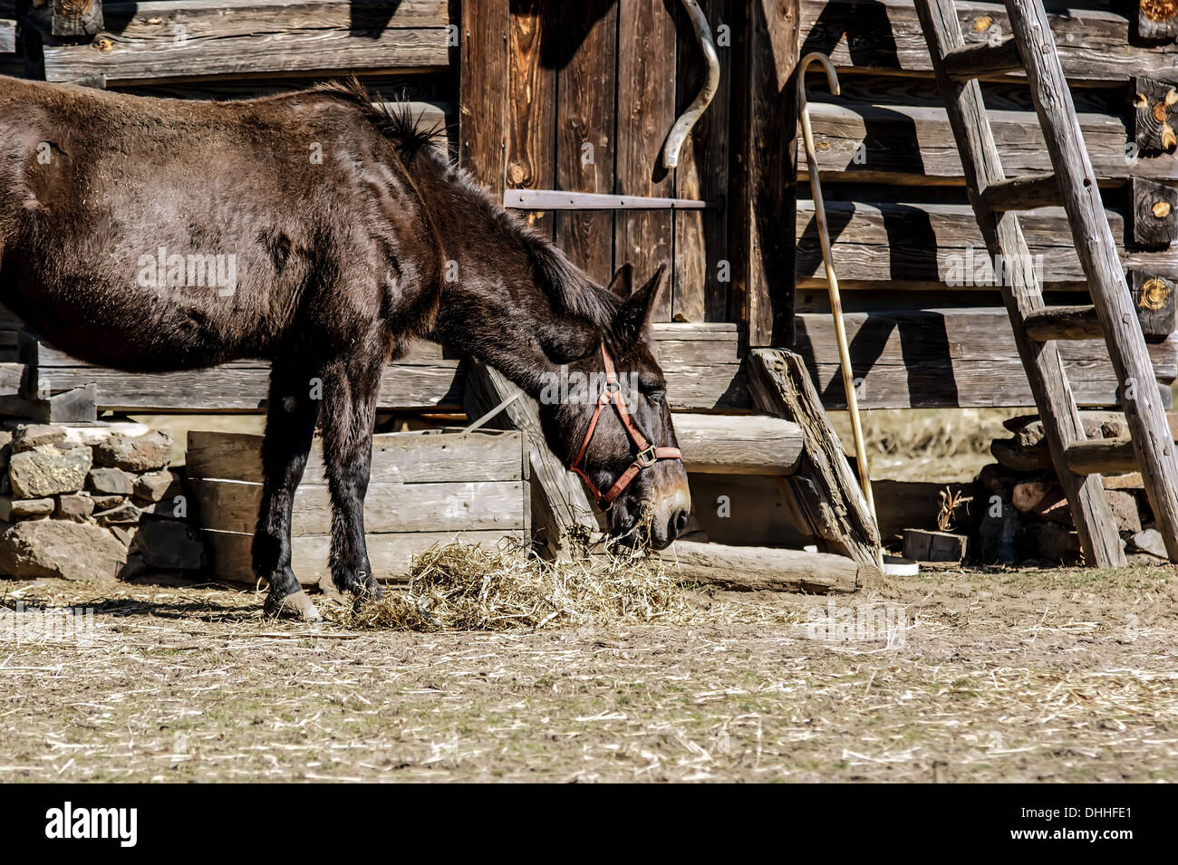 Log stable hi-res stock photography and images - Alamy