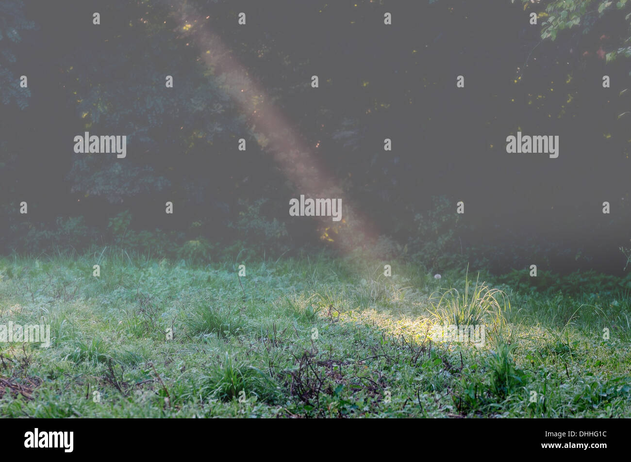 Beam of light in fog Stock Photo - Alamy