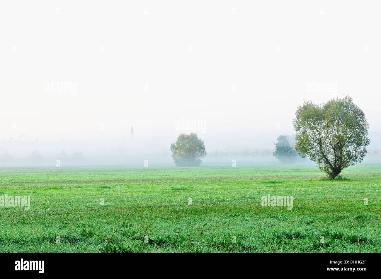 Landscape with fog Stock Photo - Alamy