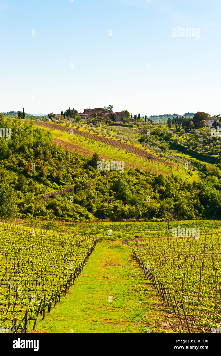 Farmhouse in Chianti Stock Photo - Alamy