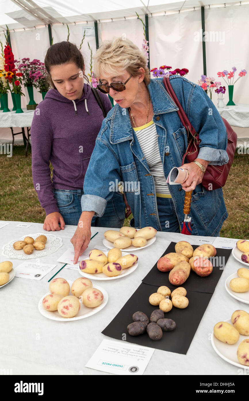 PEOPLE VIEWING PRIZE VEGETABLES AT AGRICULTURAL SHOW IN MONMOUTH WALES ...