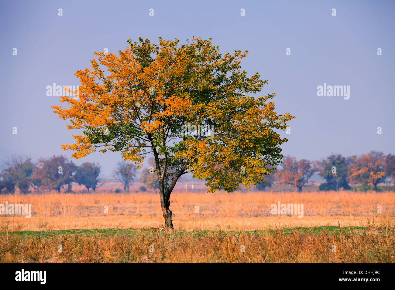 Country meadows banner hi-res stock photography and images - Alamy