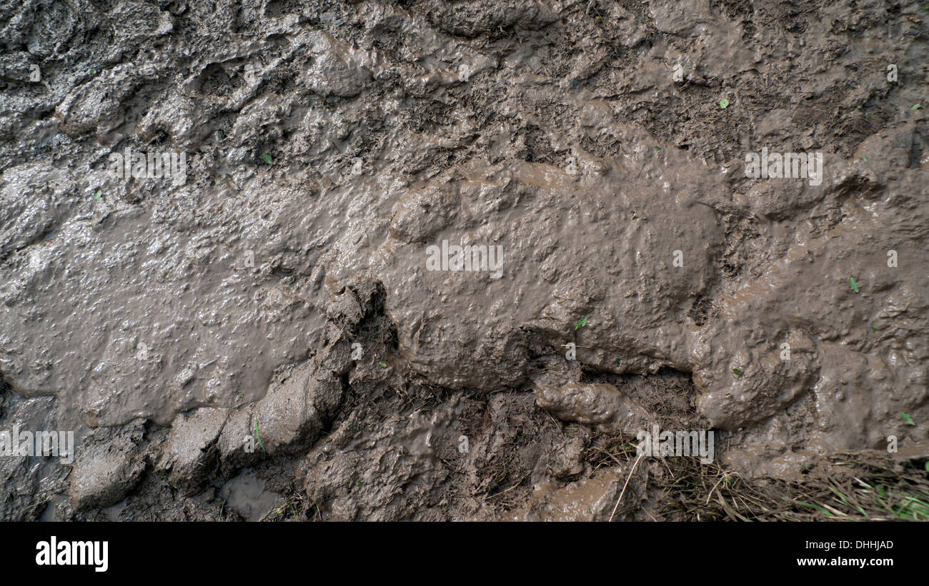 Wet texture hi-res stock photography and images - Alamy