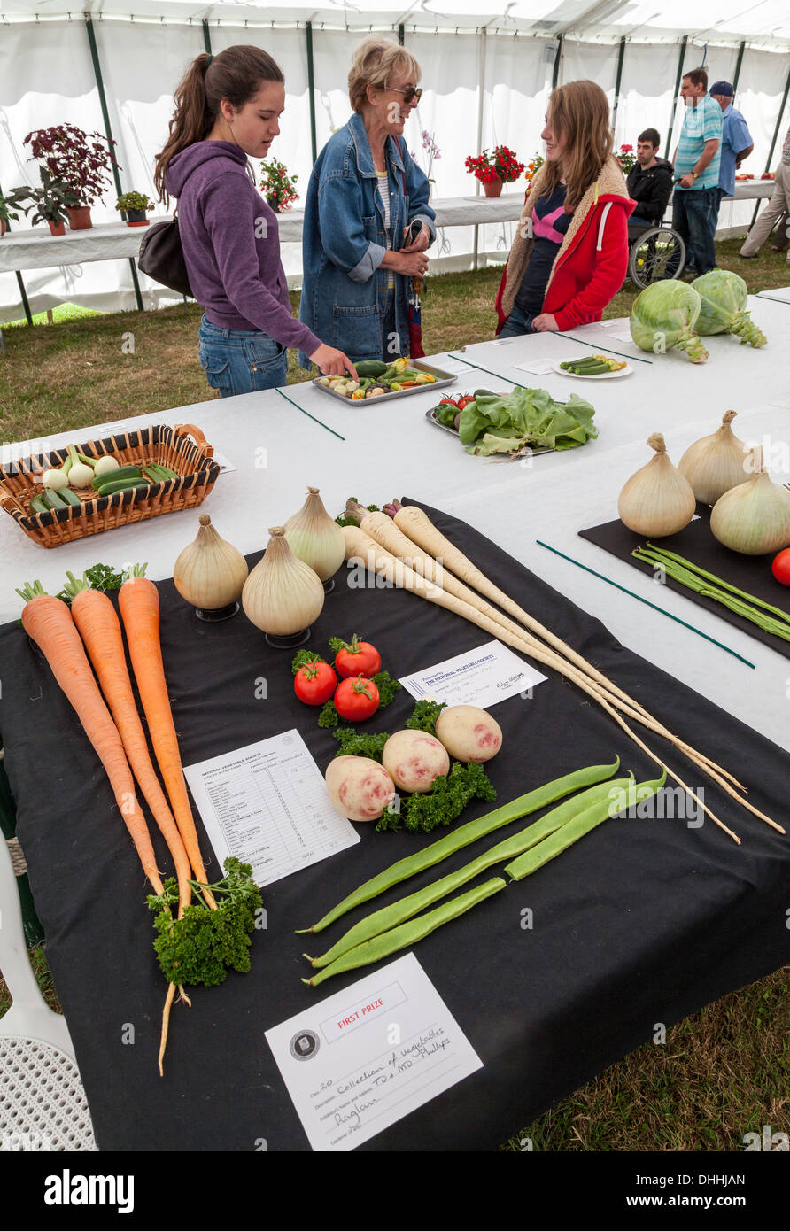 MONMOUTH WALES PEOPLE VIEWING PRIZE VEGETABLES LAID OUT IN MARQUEE AT ...