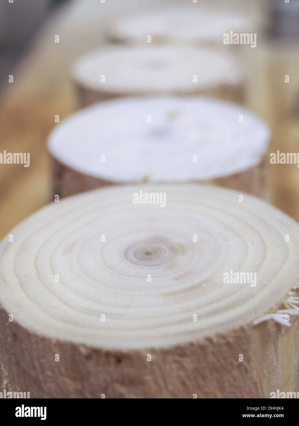 Tree wood rounds lined up Stock Photo - Alamy
