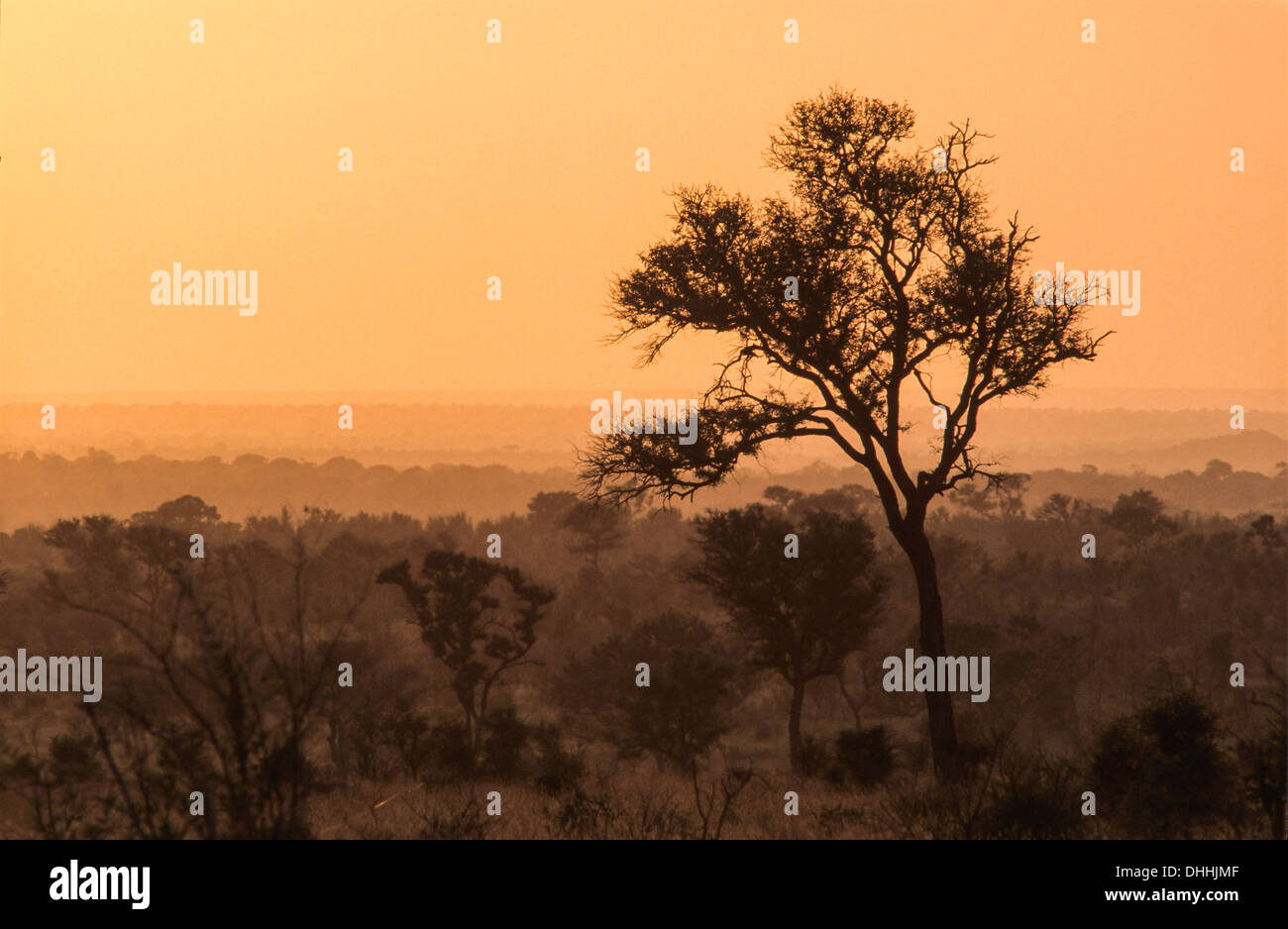River landscape in the southern Kruger National Park, Kruger National ...