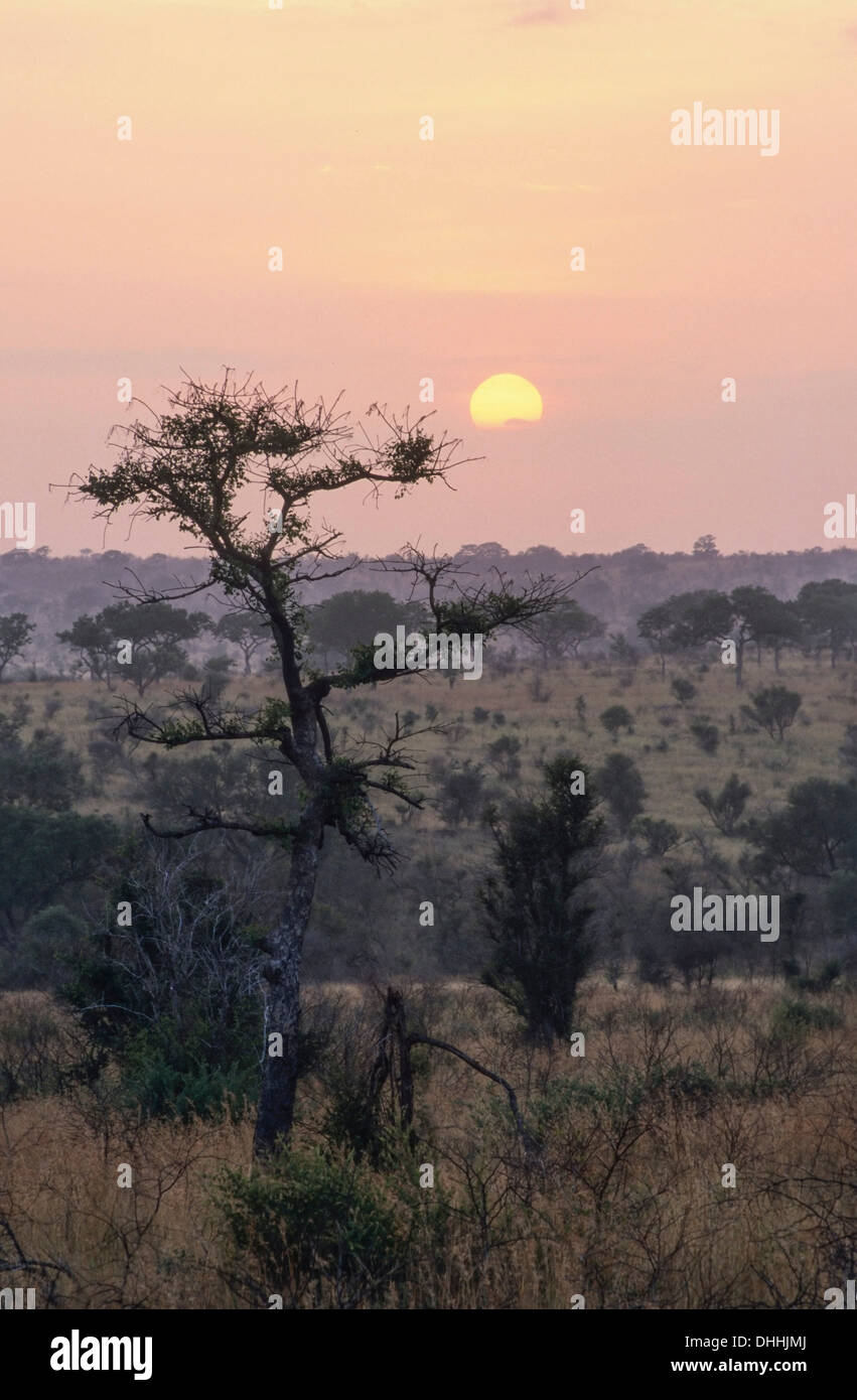 River landscape in the southern Kruger National Park, Kruger National ...