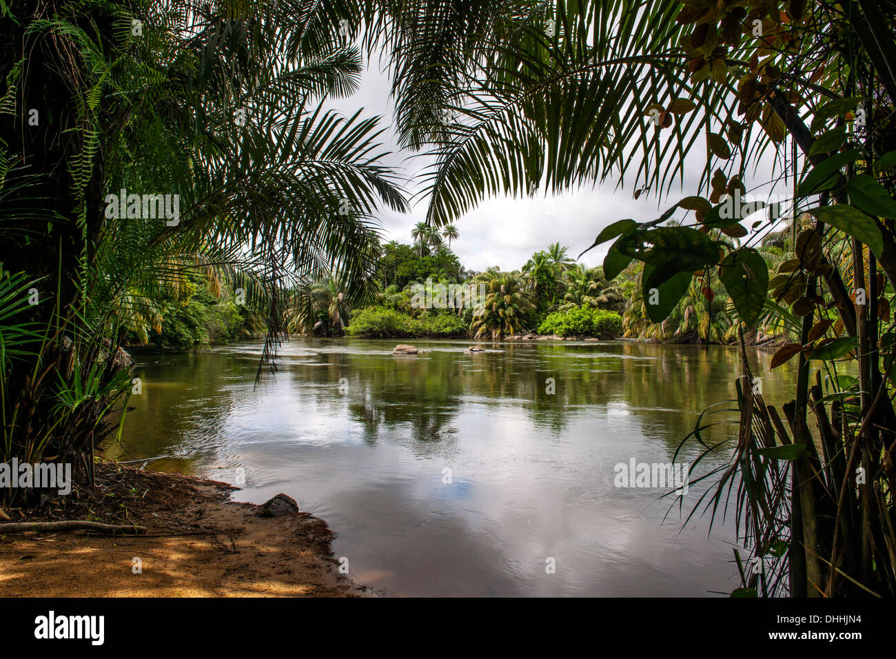 Tiwai Island Wildlife Sanctuary on an island in the Moa River, Tiwai ...