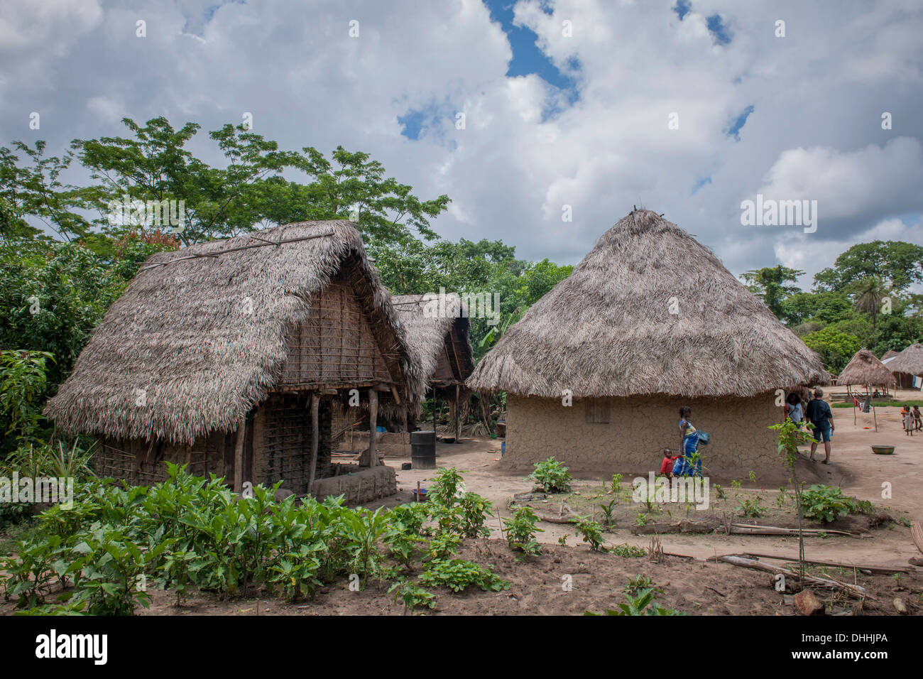Houses in a village on the Moa River, Tiwai Island, Southern Province ...