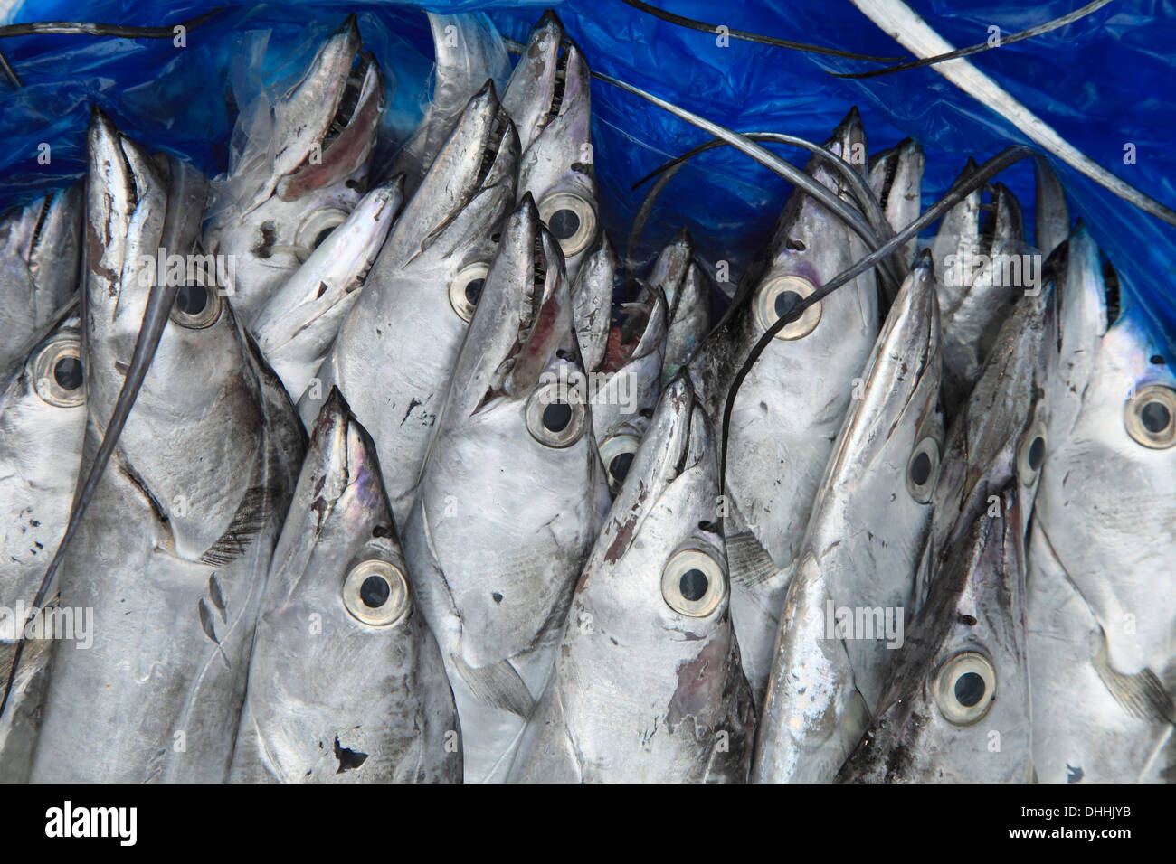 South Korea, Seoul, Namdaemun Market, fish Stock Photo - Alamy