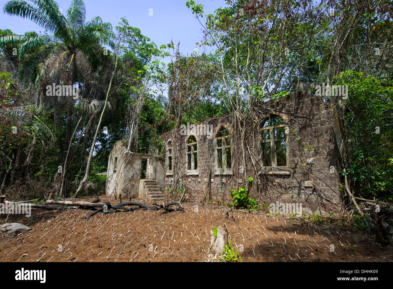 Overgrown ruins hi-res stock photography and images - Alamy