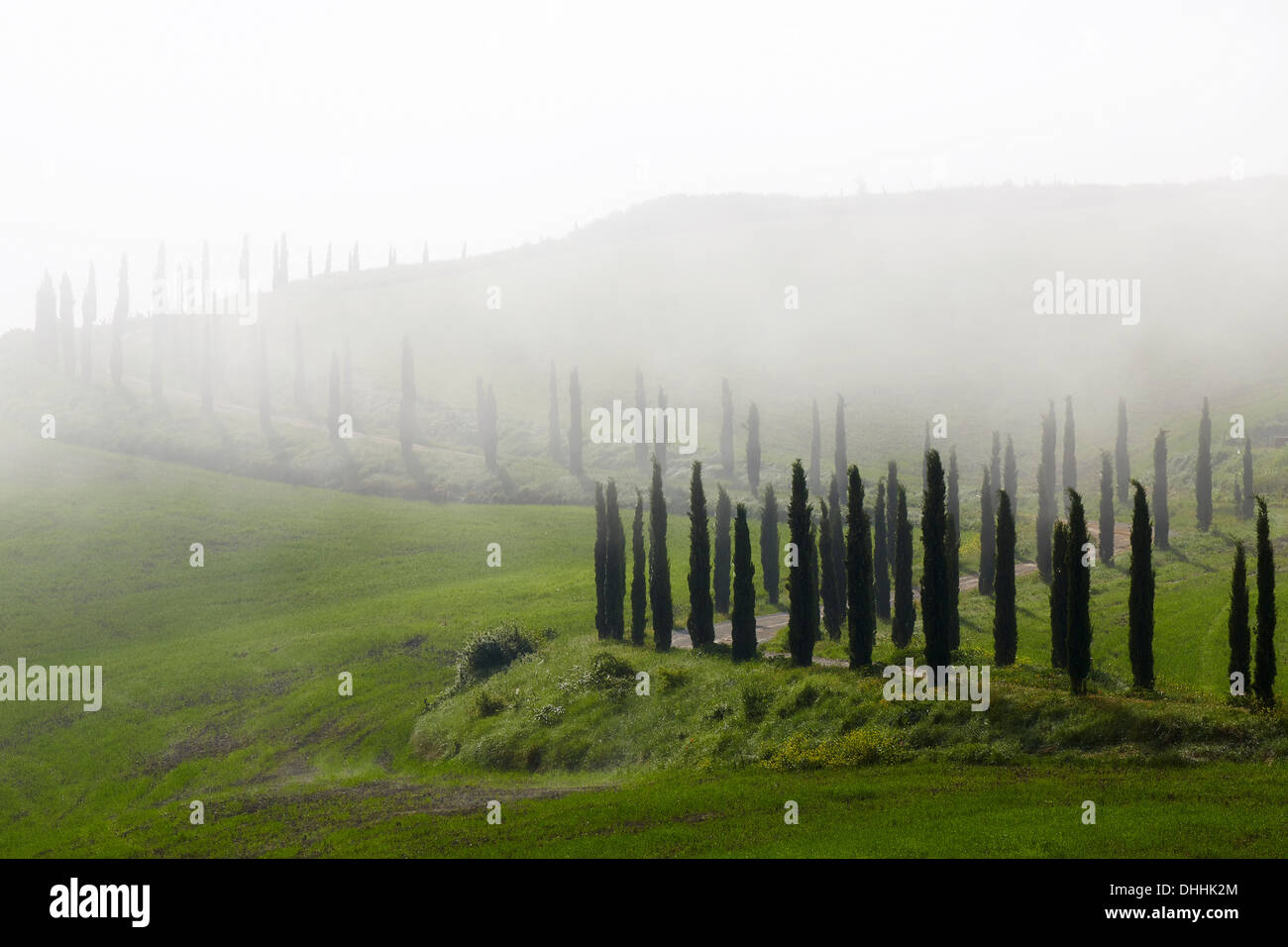 Toscana chiusure hi-res stock photography and images - Alamy