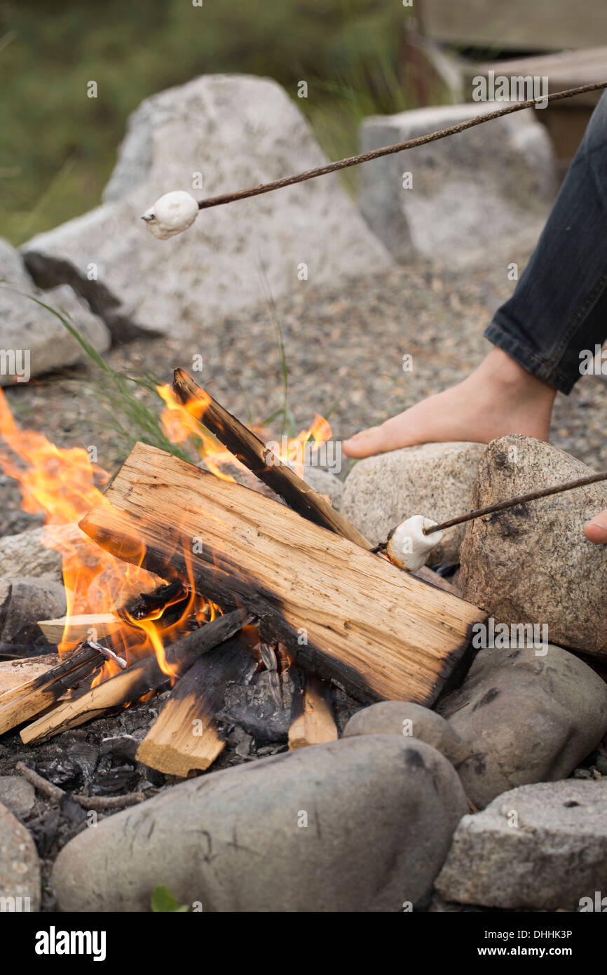Toasting marshmallows fire hi-res stock photography and images - Alamy