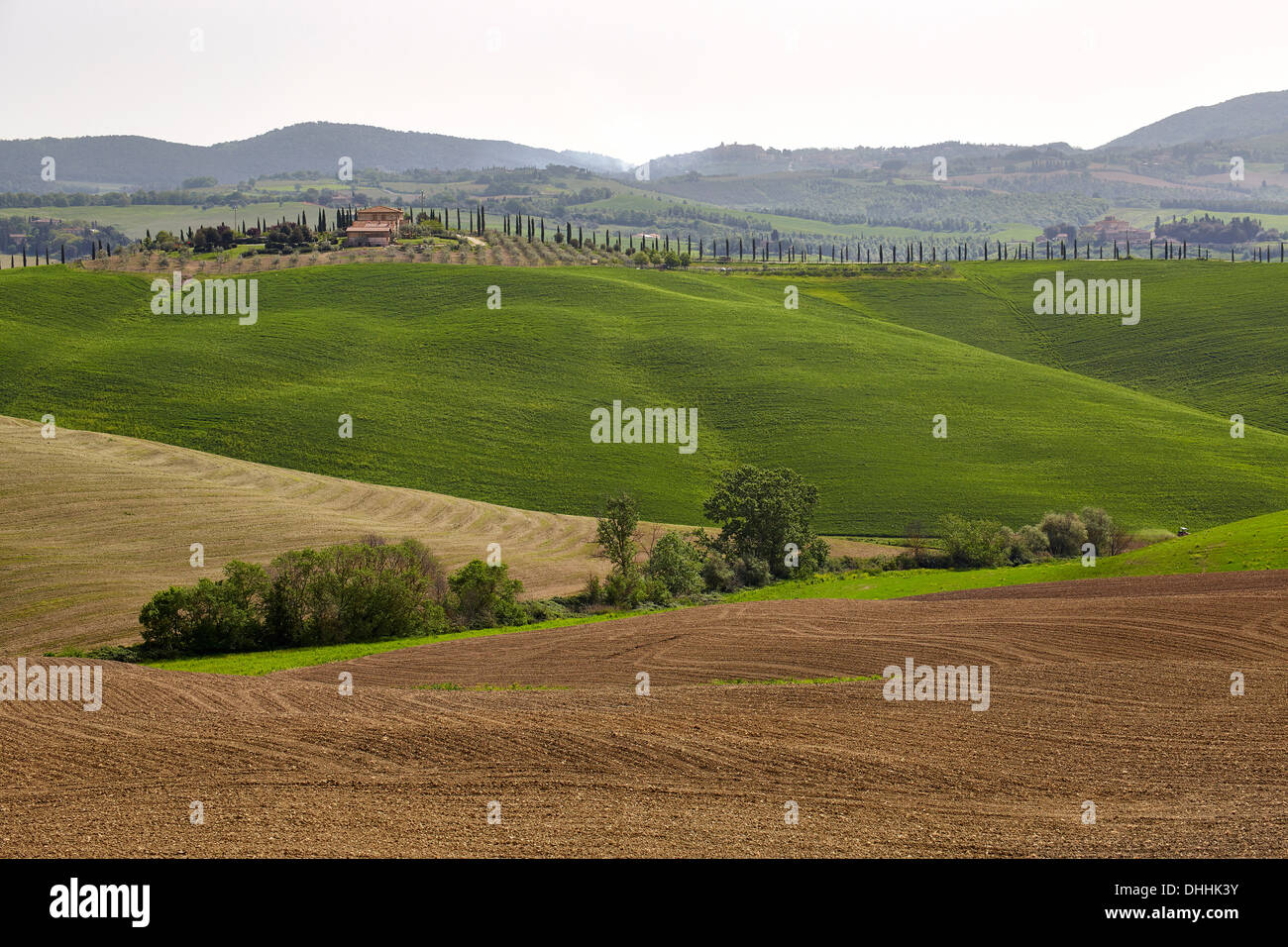Toscana chiusure hi-res stock photography and images - Alamy
