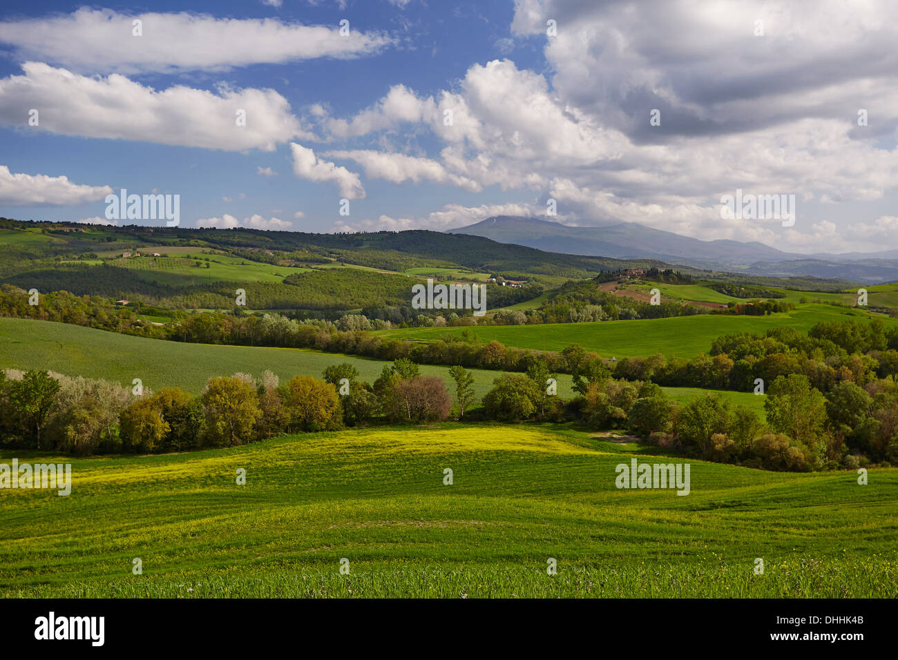 Hilly landscape of the Crete Senesi region, Torrenieri, Montalcino ...