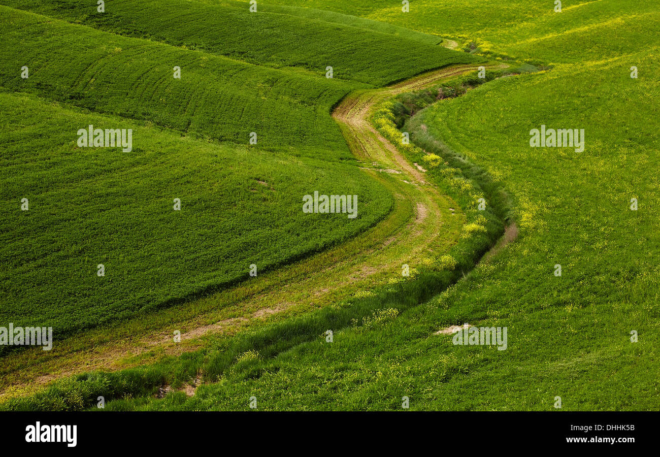 Hilly fields in the Crete Senesi region, Torrenieri, Montalcino ...