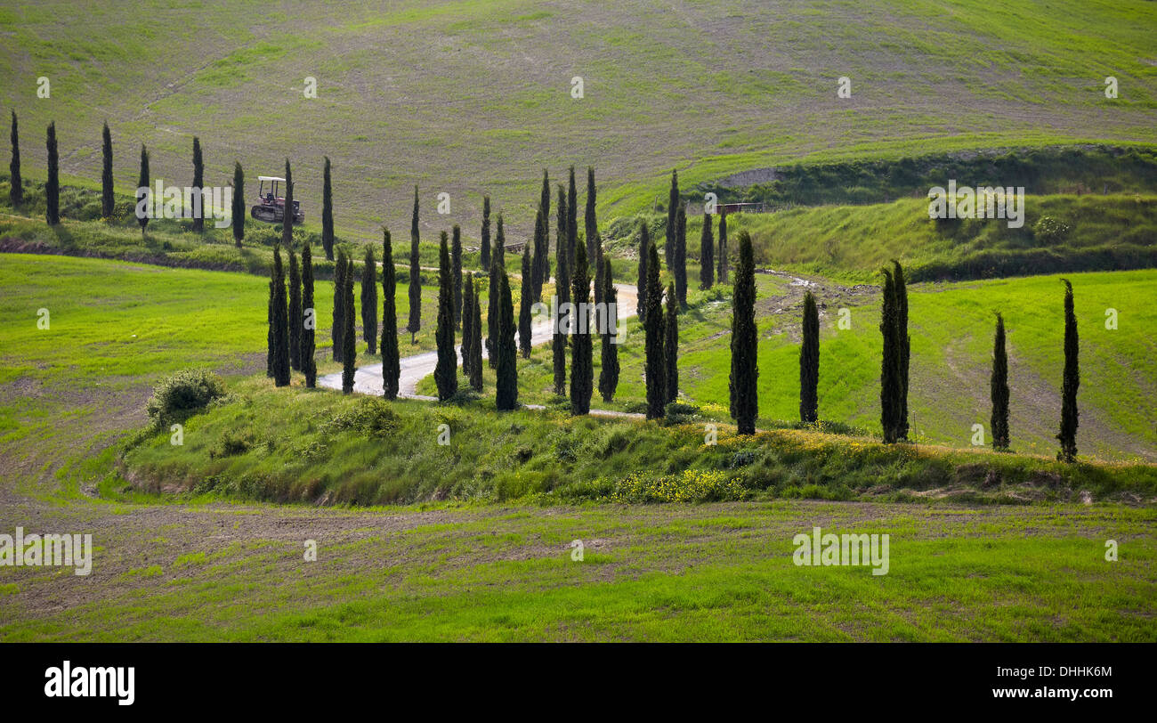 Toscana chiusure hi-res stock photography and images - Alamy