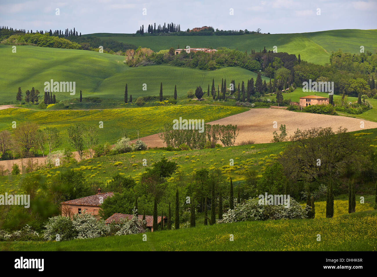 Toscana chiusure hi-res stock photography and images - Alamy