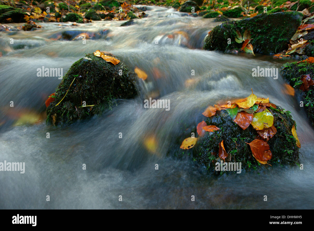 River landscape nidda in hi-res stock photography and images - Alamy