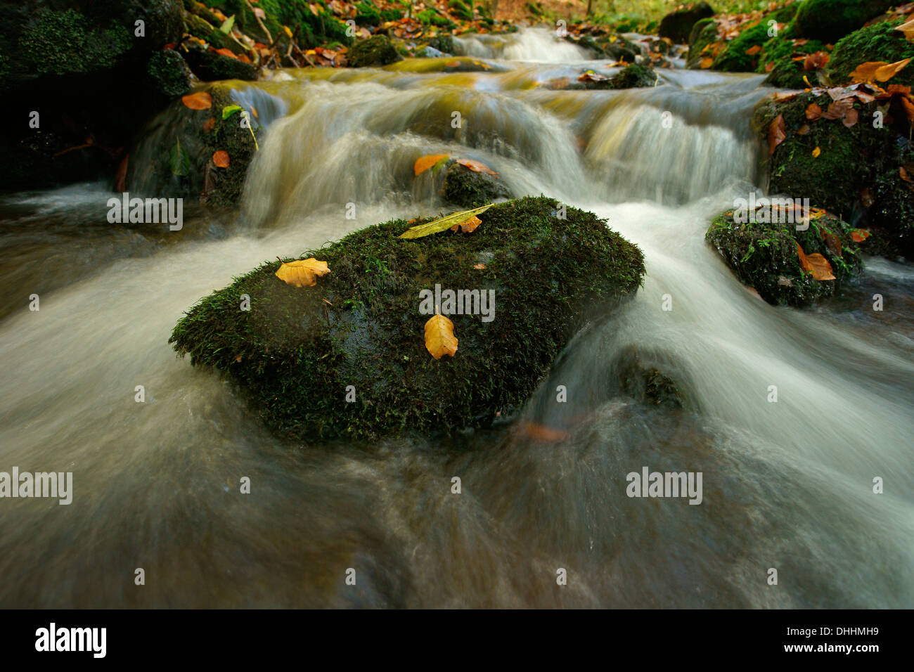 River landscape nidda in hi-res stock photography and images - Alamy