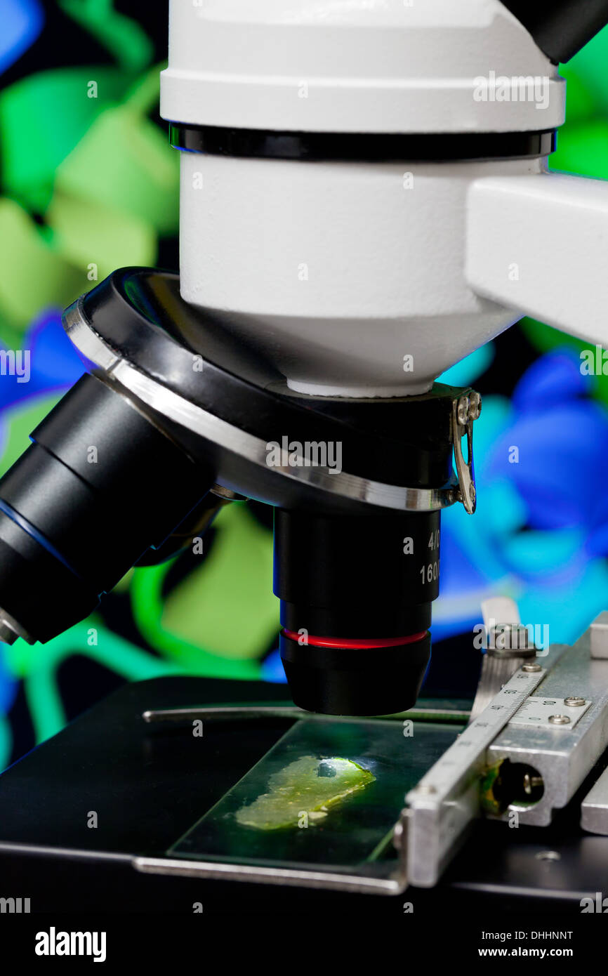 Hemoglobin molecule hi-res stock photography and images - Alamy