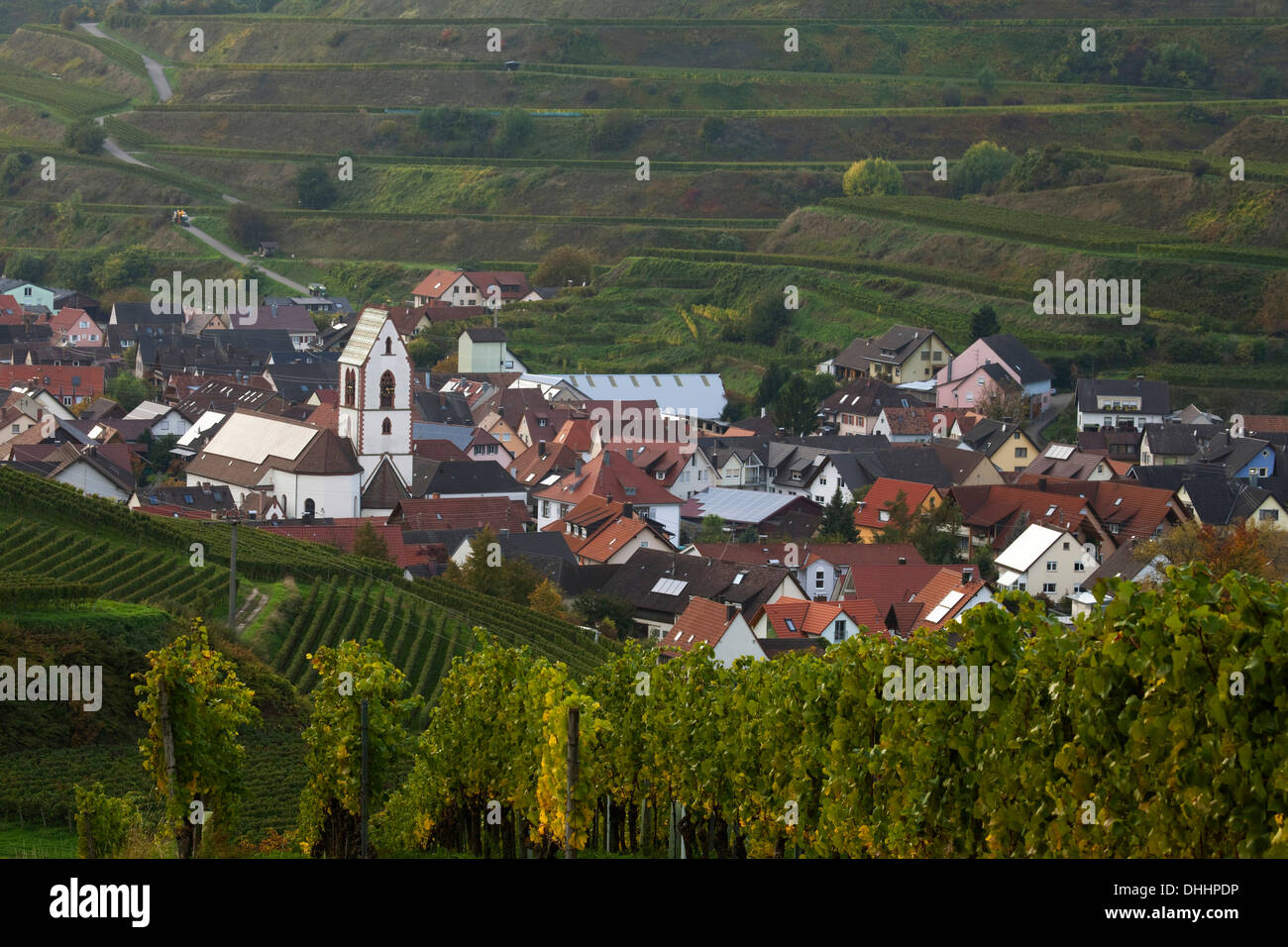 Village surrounded by vineyards, Oberbergen, Vogtsburg im Kaiserstuhl ...