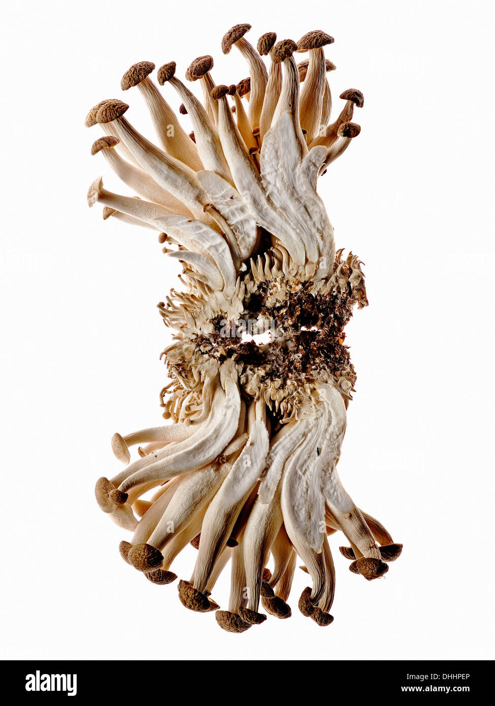 Large group of group of objects Cut Out Stock Images & Pictures - Alamy