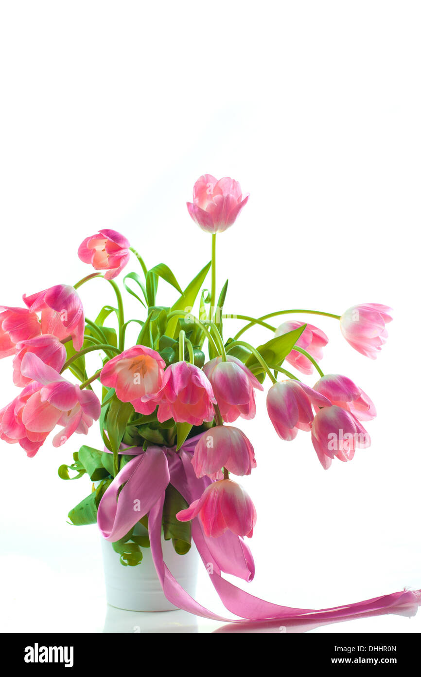 Beautiful pink tulips in white pot Stock Photo - Alamy